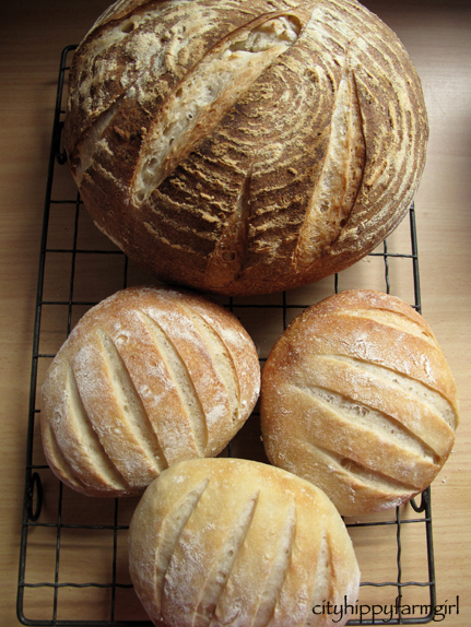 skippy barm bread | cityhippyfarmgirl